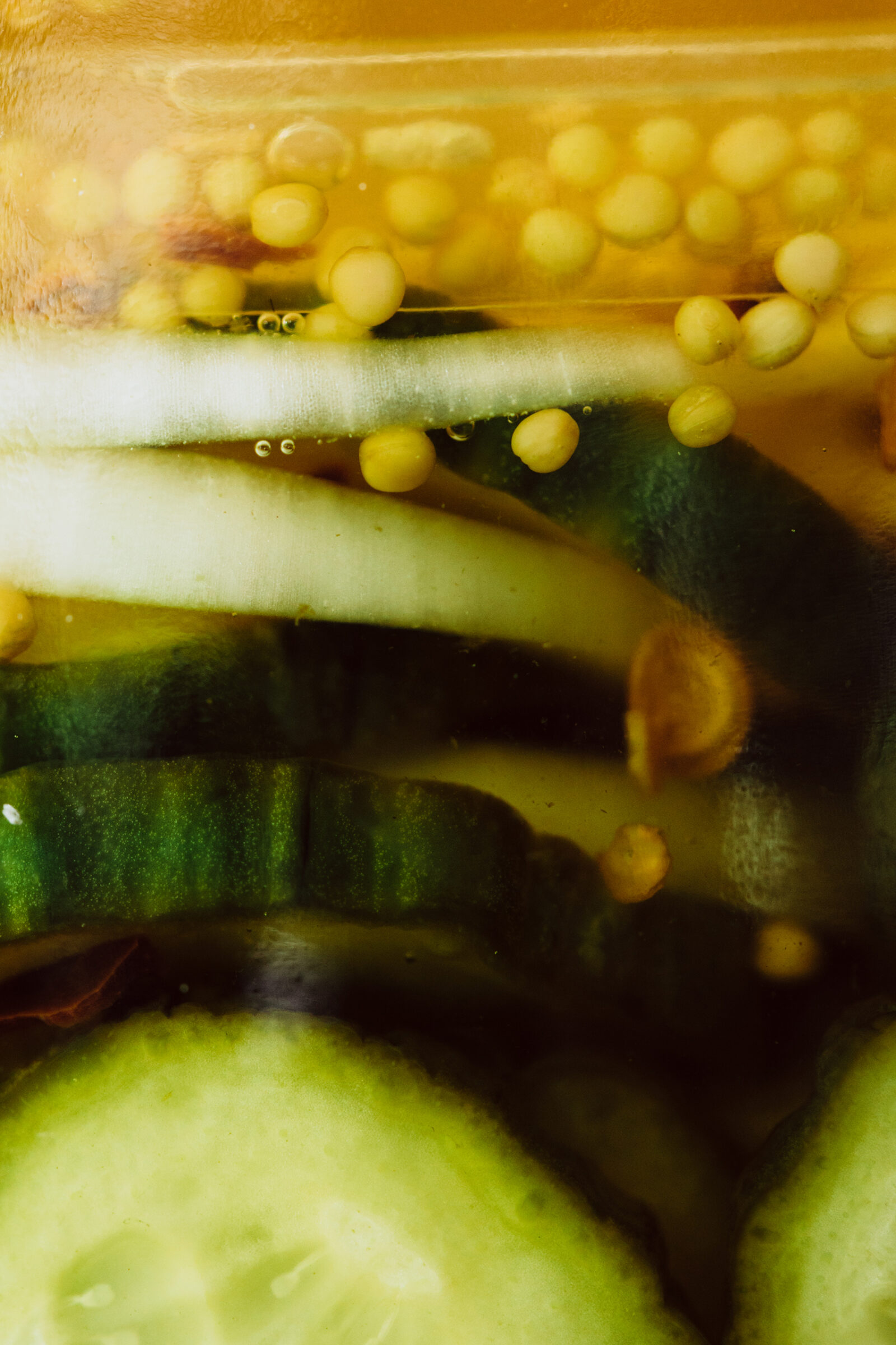 David Zilber: Fermentation’s Avant Garde - Normal Phenomena of Life